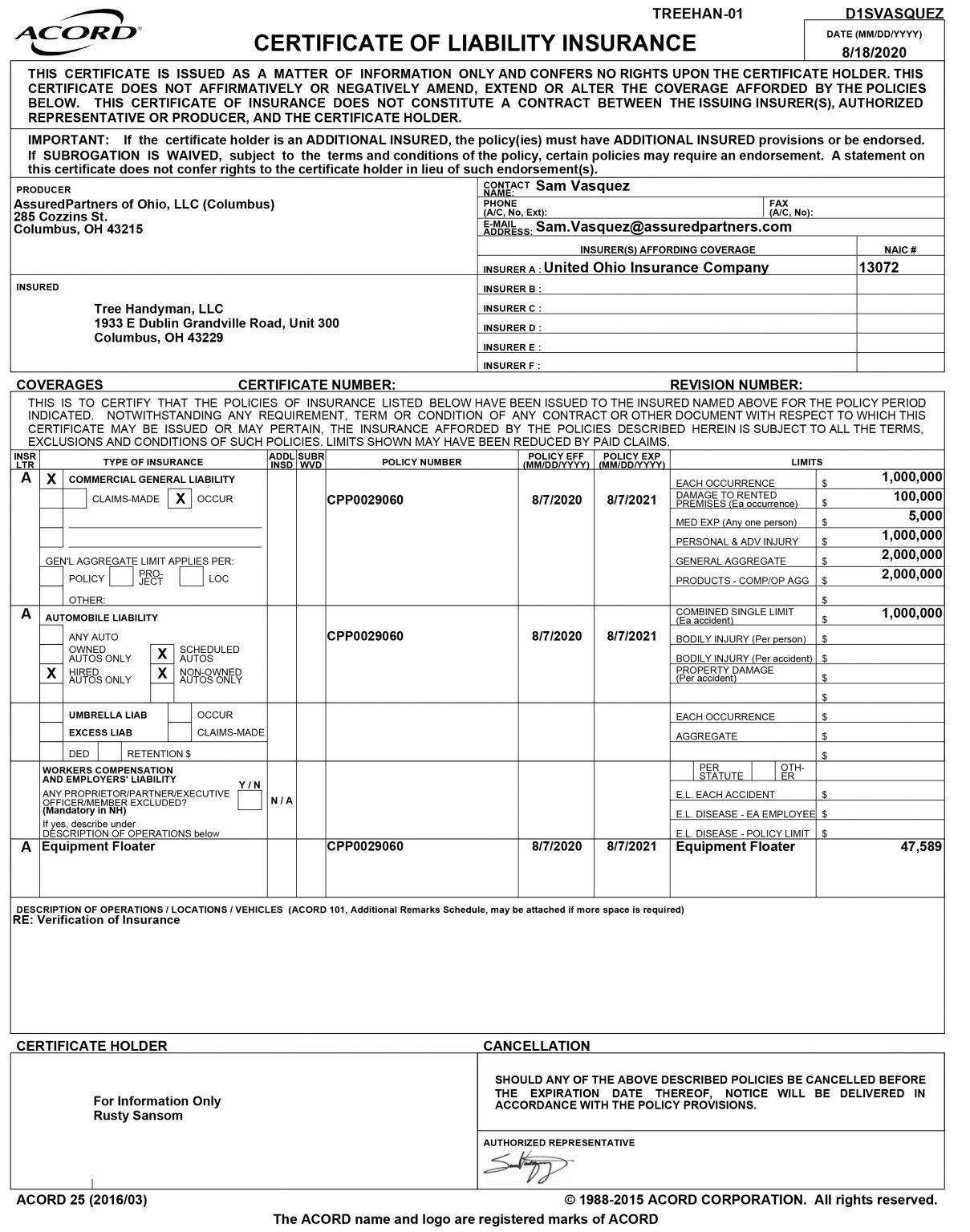 Removal – Tree Handyman